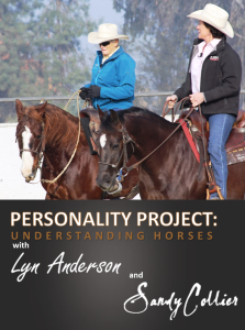 Sandy’s Videos – SandyCollier.com