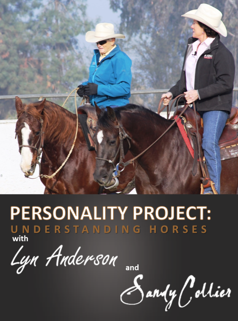 Sandy’s Videos – SandyCollier.com